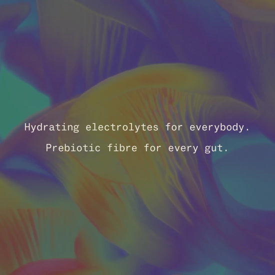 Pre-Hydrate | Prebiotic Hydration + Electrolytes – My Way Up